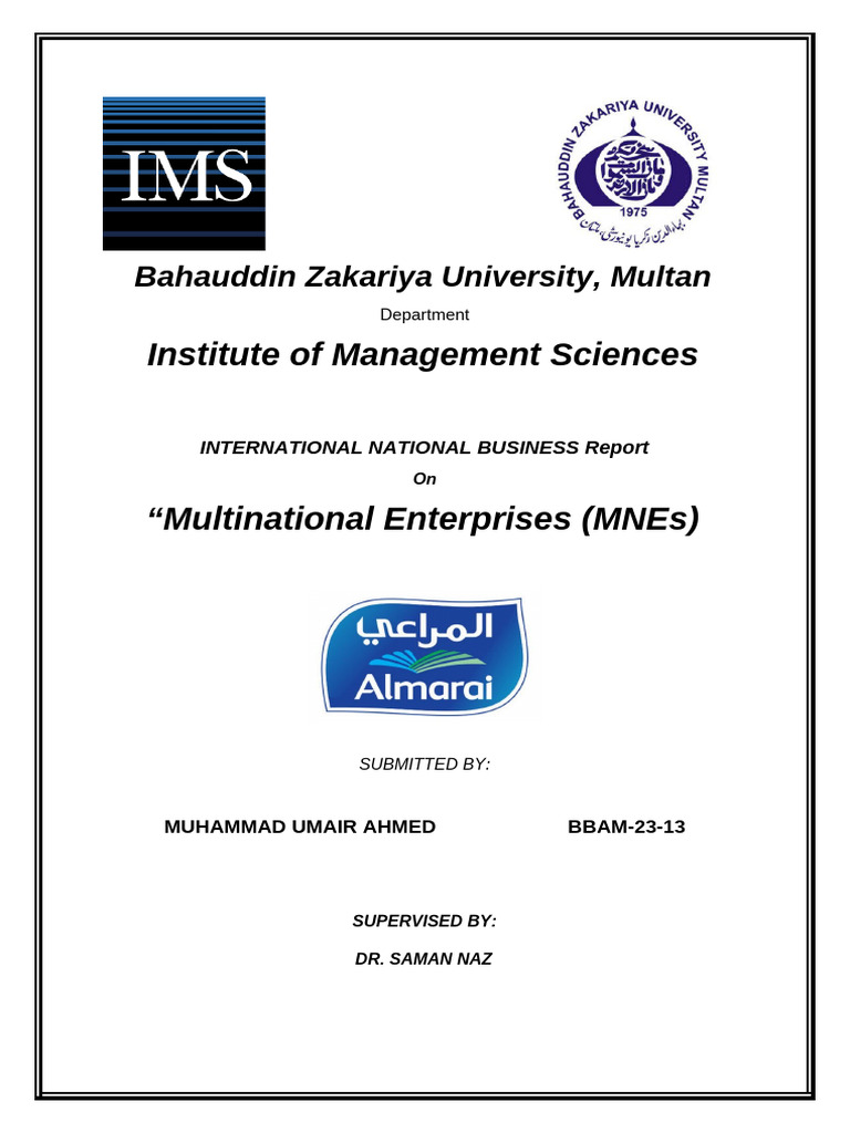 Mne's Description in Pakistan | PDF | Multinational Corporation | Economies