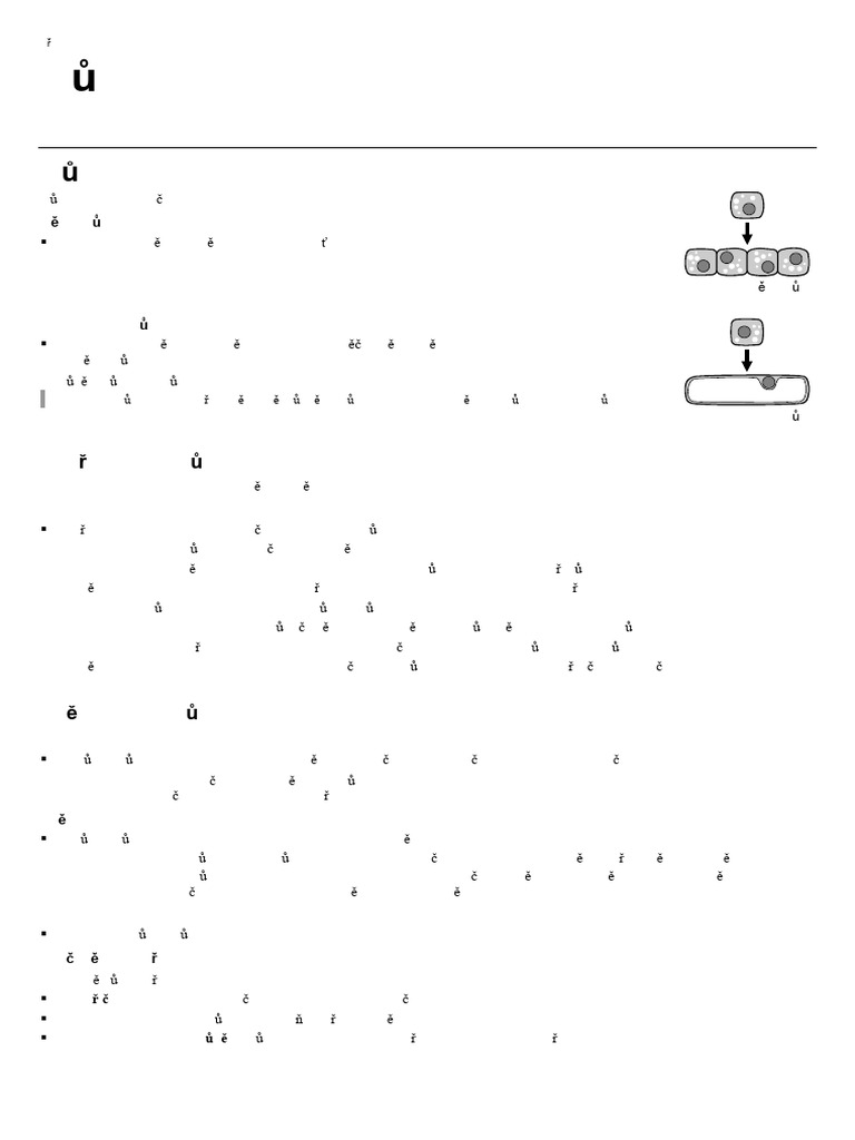 2bot 04 Rust Vyvoj | PDF