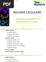 Types de jonctions cellulaires expliqués | PDF | Biologie cellulaire ...