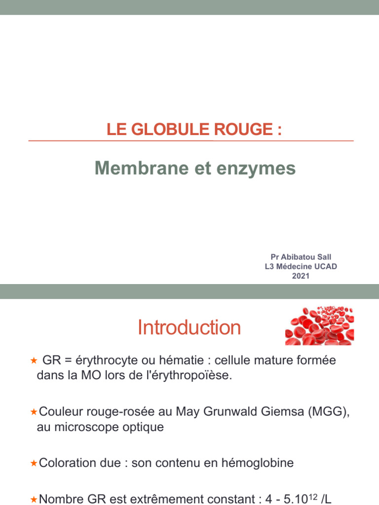 Structure et fonctions des globules rouges | PDF | Membrane cellulaire ...