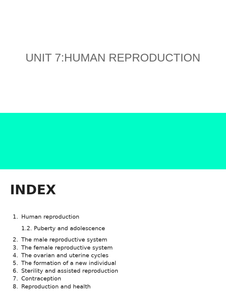 Unit 6. Human Reproduction | PDF | Menstrual Cycle | Reproductive System