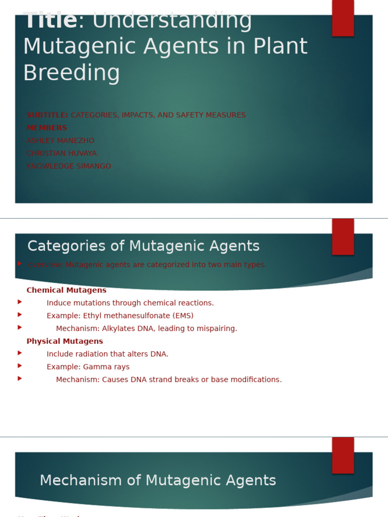 Title - PPTX Group 2 Prese 2 | PDF | Mutagen | Mutation