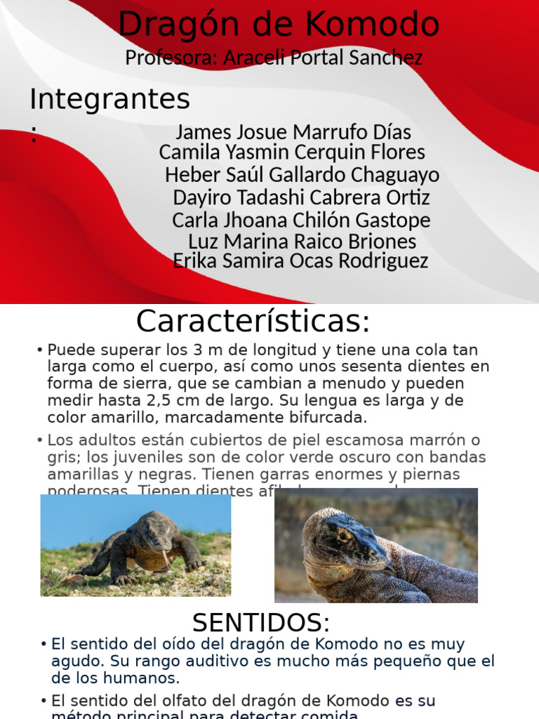 Dragón de Komodo | PDF | Dragon de Komodo | Zoología