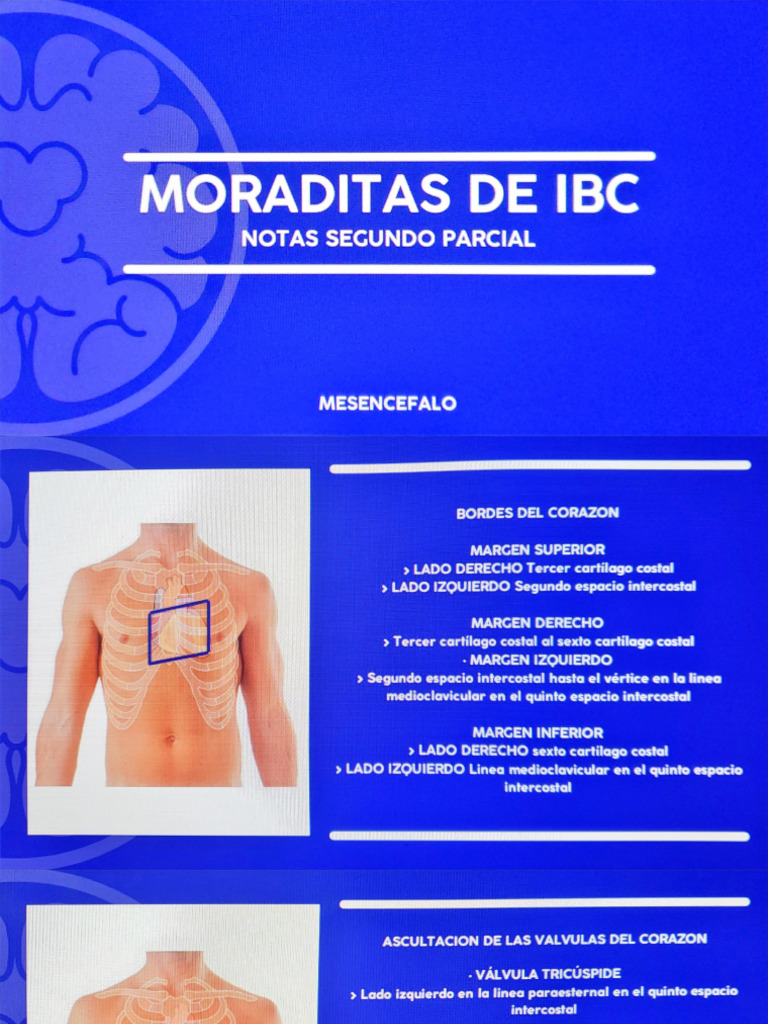Ibc PT1 | PDF