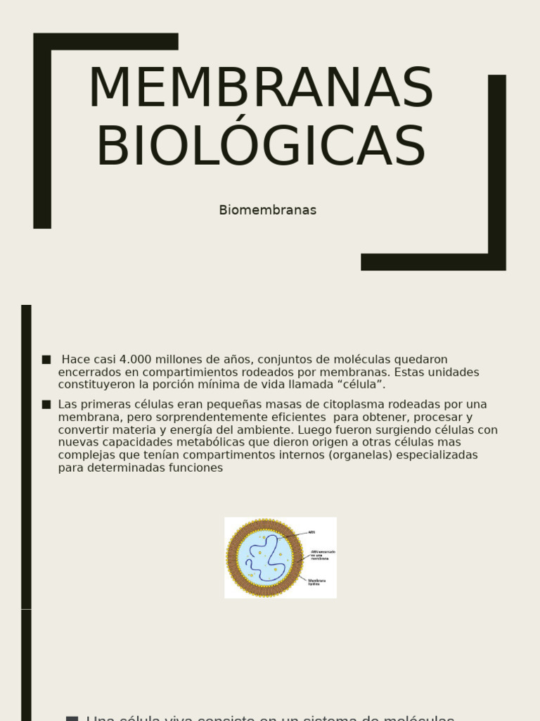Membranas Biológicas (Biomembranas) | PDF | Membrana celular | Biología Celular)