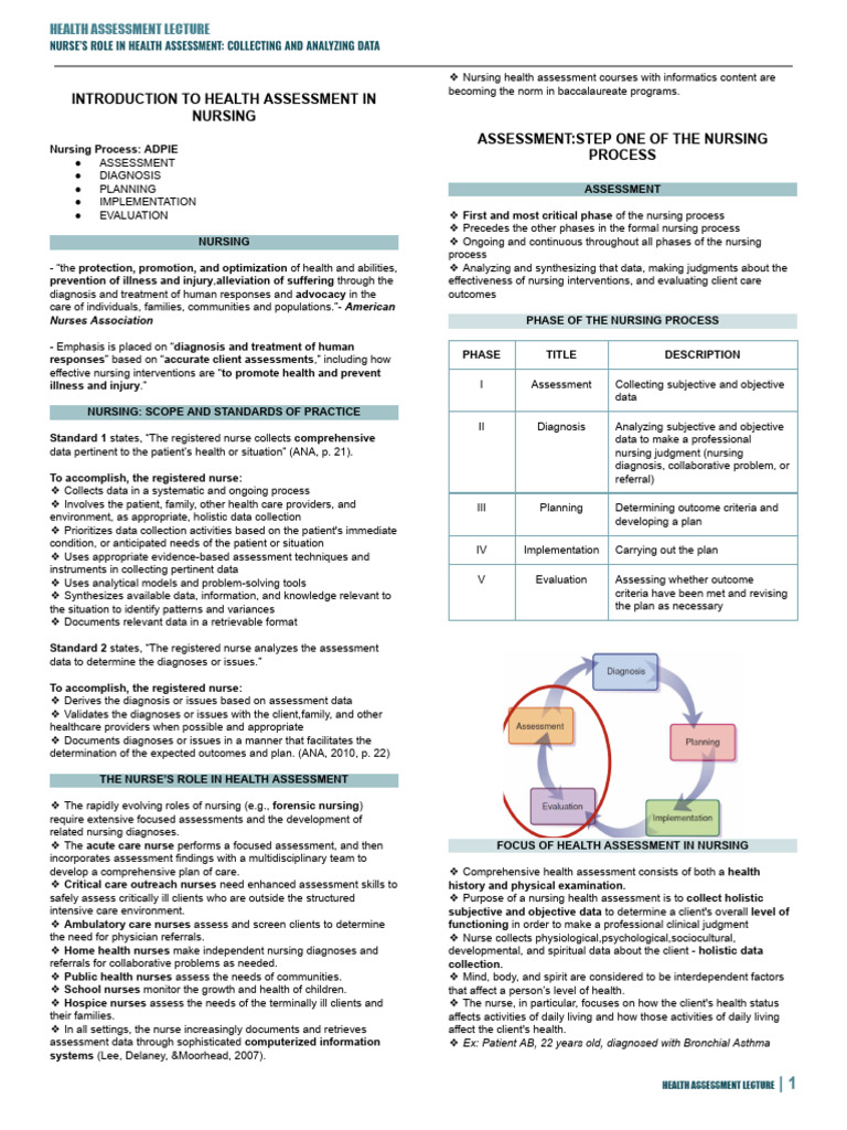 Nursing Process in Health Assessment | PDF | Physical Examination | Nursing