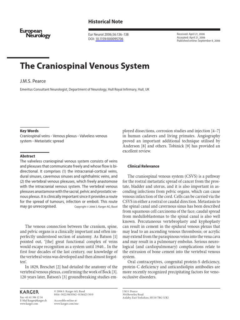 Batson's Plexus: Anatomy and Clinical Significance | PDF | Vein | Vertebra