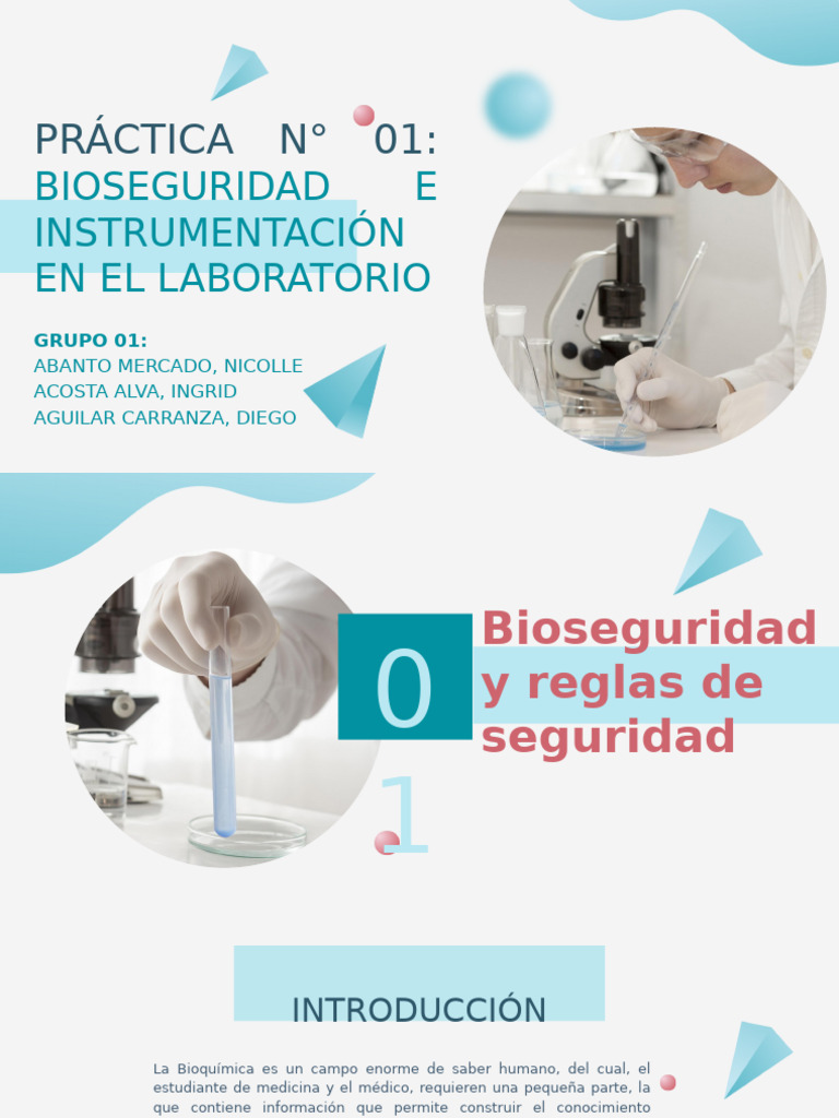 Práctica 01 Pdf Laboratorios