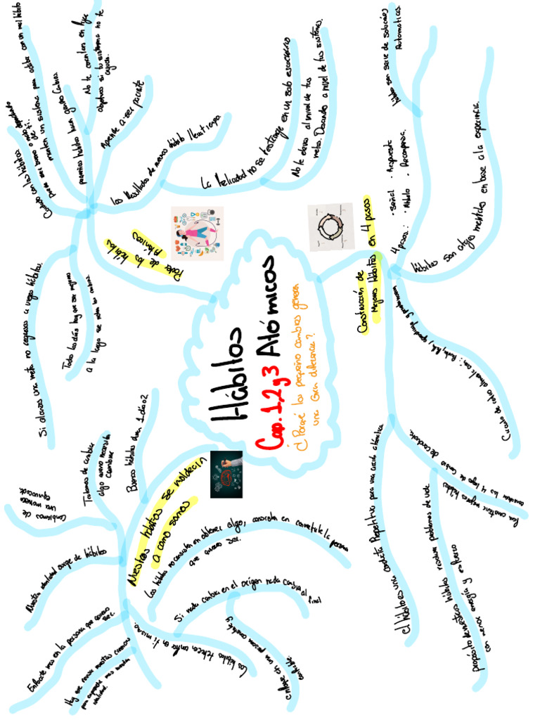 Mapa Mental HábitosAtomicos | PDF