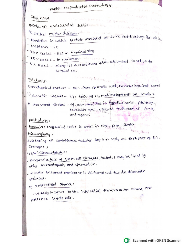 Male Pathology | PDF