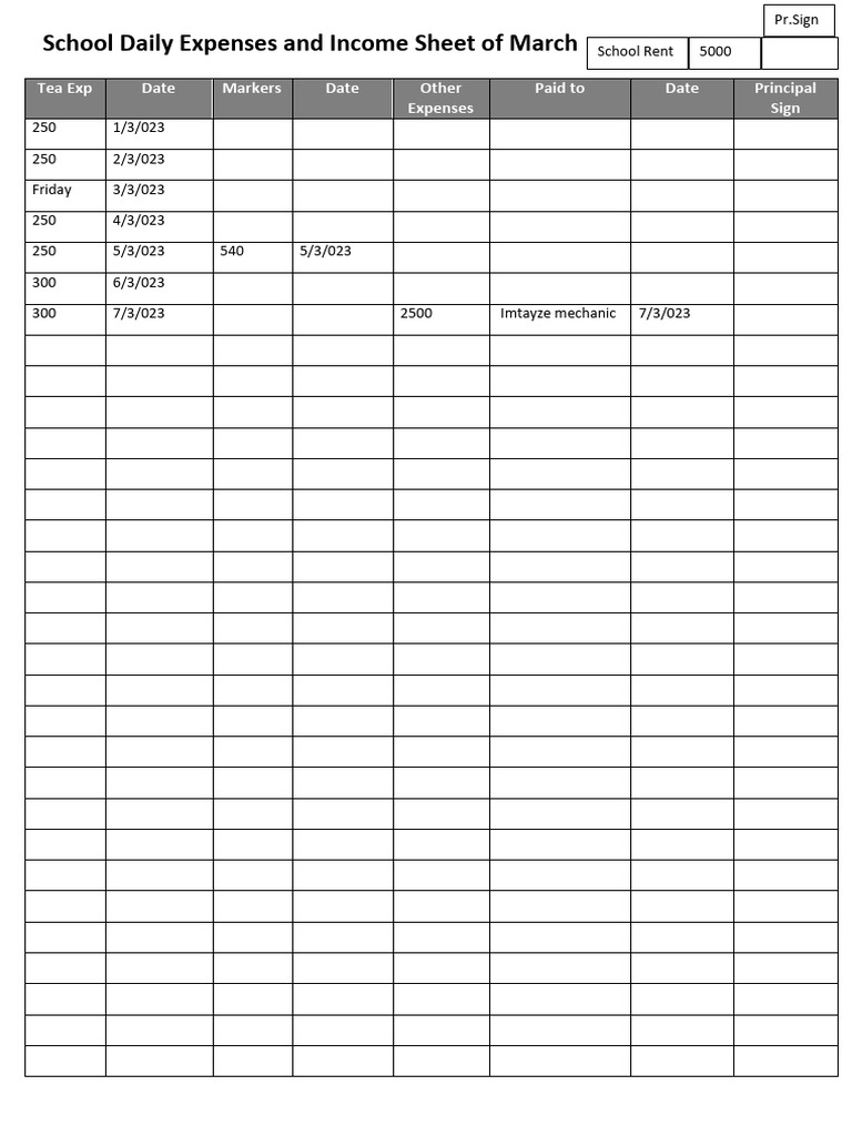 Daily Expenses Sheet | PDF