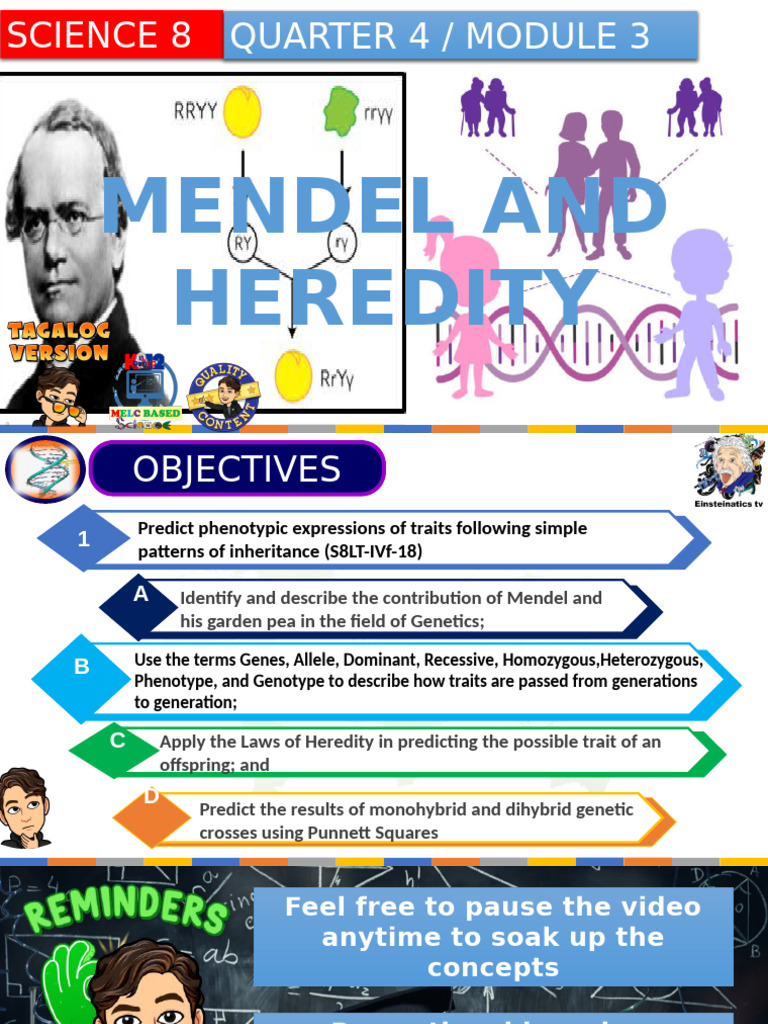 Mendelian Genetics E5181b7502 | PDF | Dominance (Genetics) | Genotype