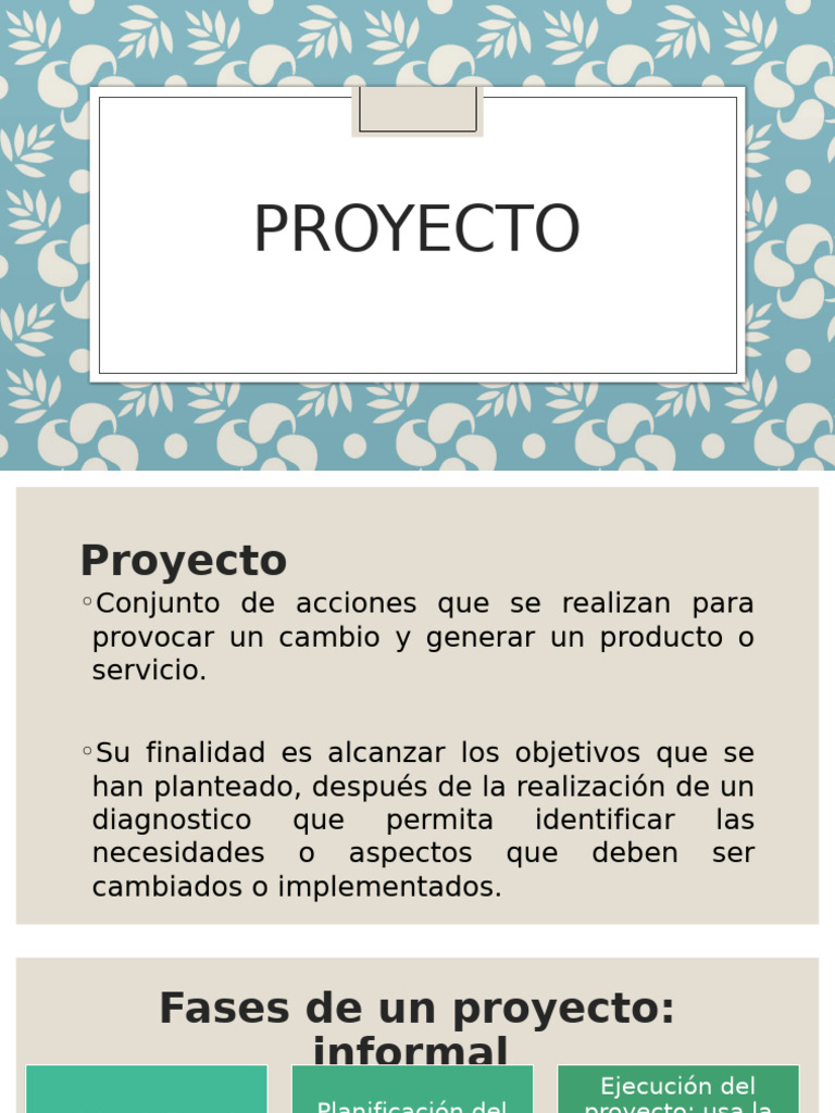 Proyecto 8vo | PDF | Planificación | Economias