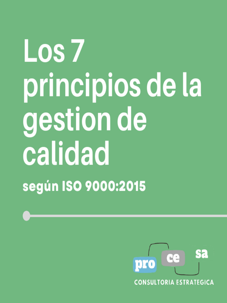 Los 7 Principios de La Gesti N de Calidad 1744026755 | PDF