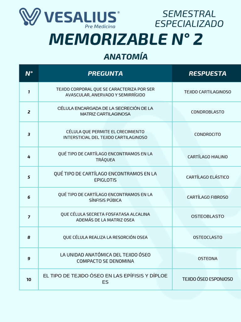 Semestral N 2 Memorizable | PDF | Cartílago | Conocimiento