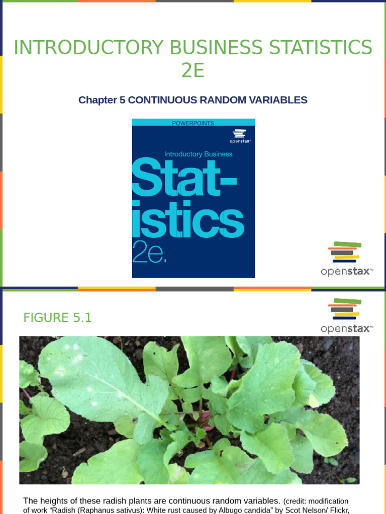 IntroductoryBusinessStatistics2e PowerPoint Ch05 | PDF