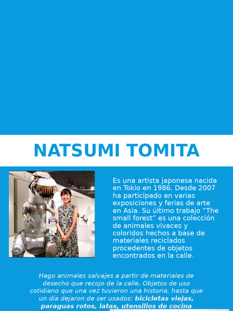 Quién Es Natsumi Tomita | PDF