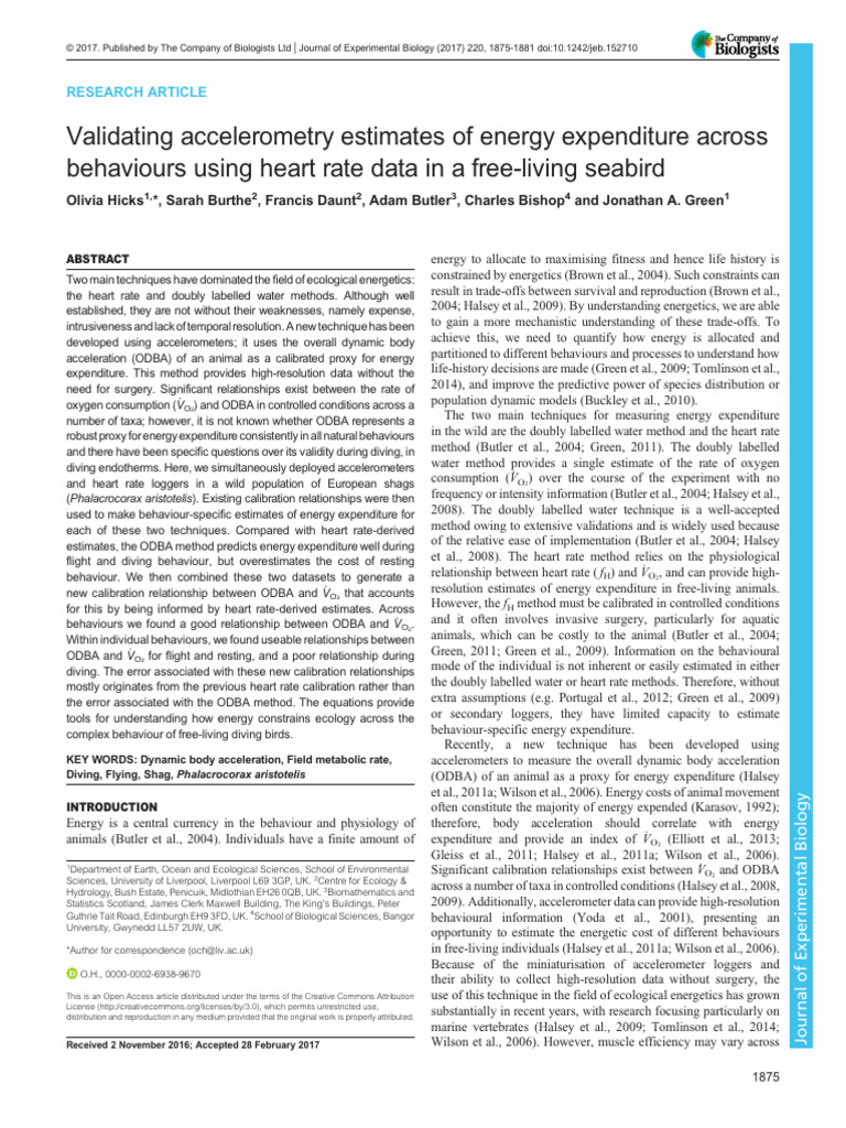 Validating Accelerometry Estimates Of Energy Expenditure Across