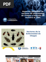 Triatominos: Vectores de Chagas | PDF | Biología