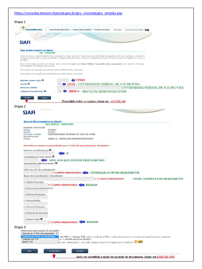 Procedimentos de Como Emitir GRU | PDF