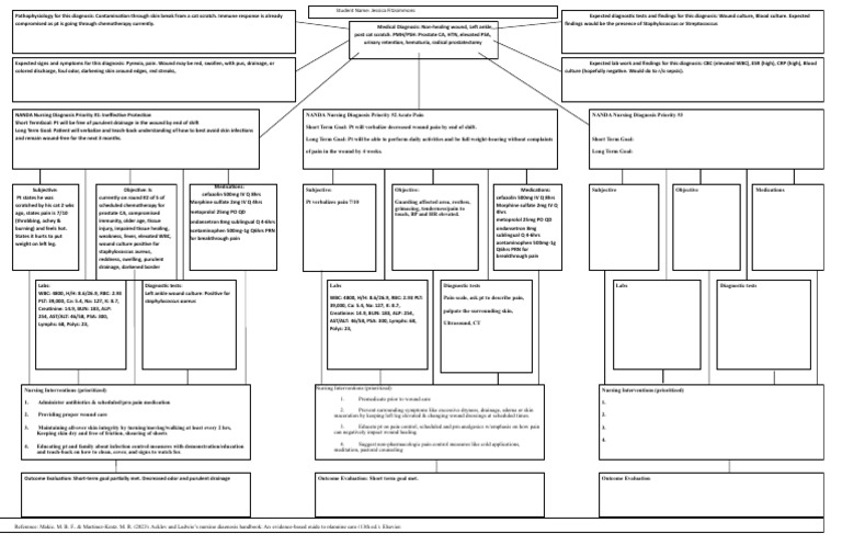 Medical Surgical Concept Map | PDF | Wound | Medical Specialties