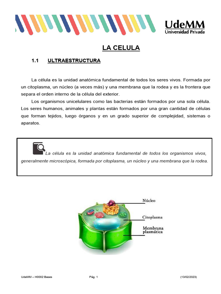 Ficha Células | PDF | Biología Celular) | Citoplasma