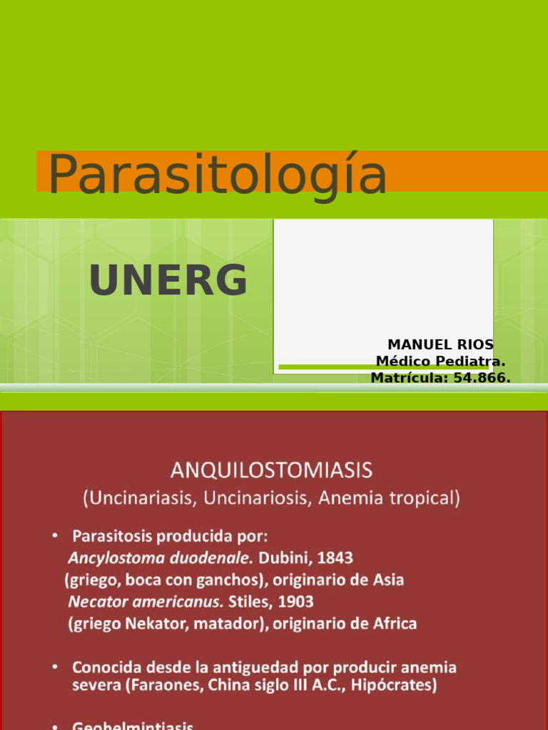 Anquilostomiasis | PDF | Heces | Especialidades Medicas