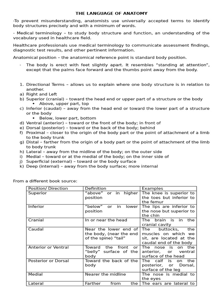 Language of Anatomy and Physiology | PDF | Anatomical Terms Of Location ...