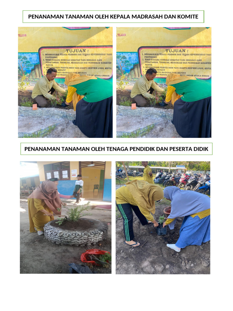 PROSES PEMBIBITAN, PENANAMAN, DAN PEMELIHARAAN TANAMAN | PDF