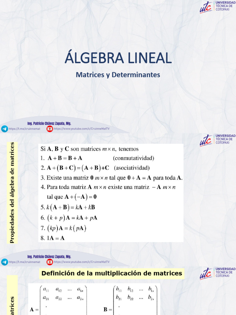Definición y Propiedades de Matrices | PDF