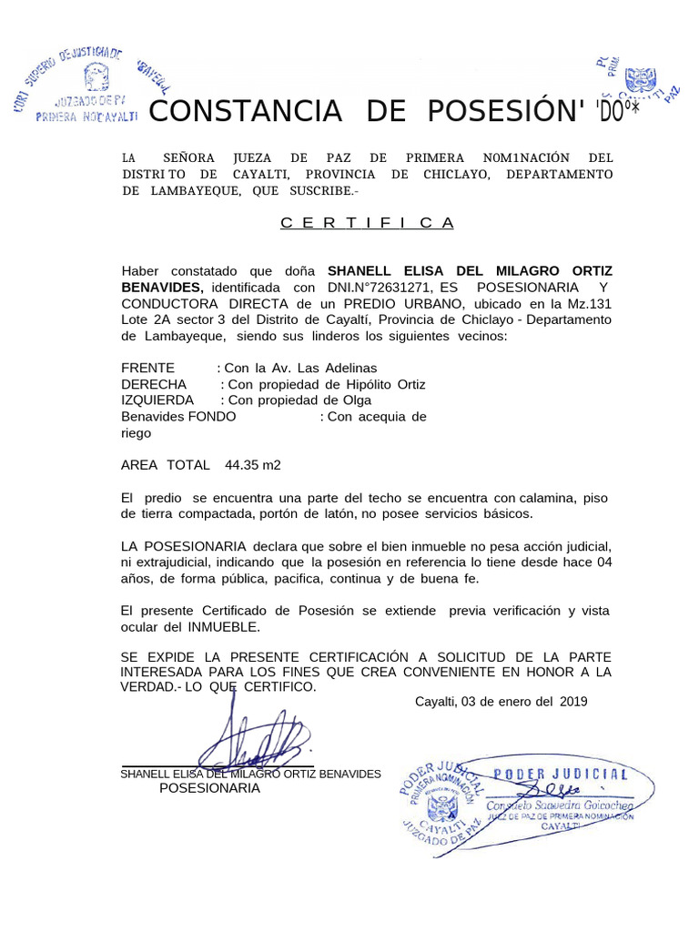 Constancia De Posesion Pdf
