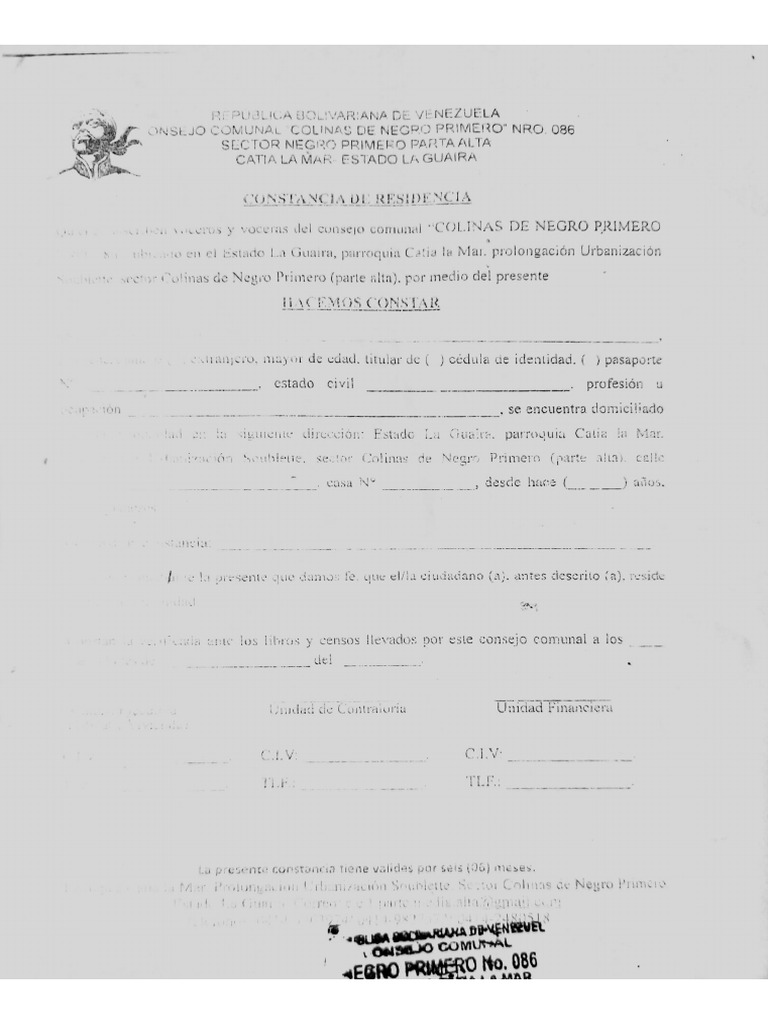 Documento 11 | PDF