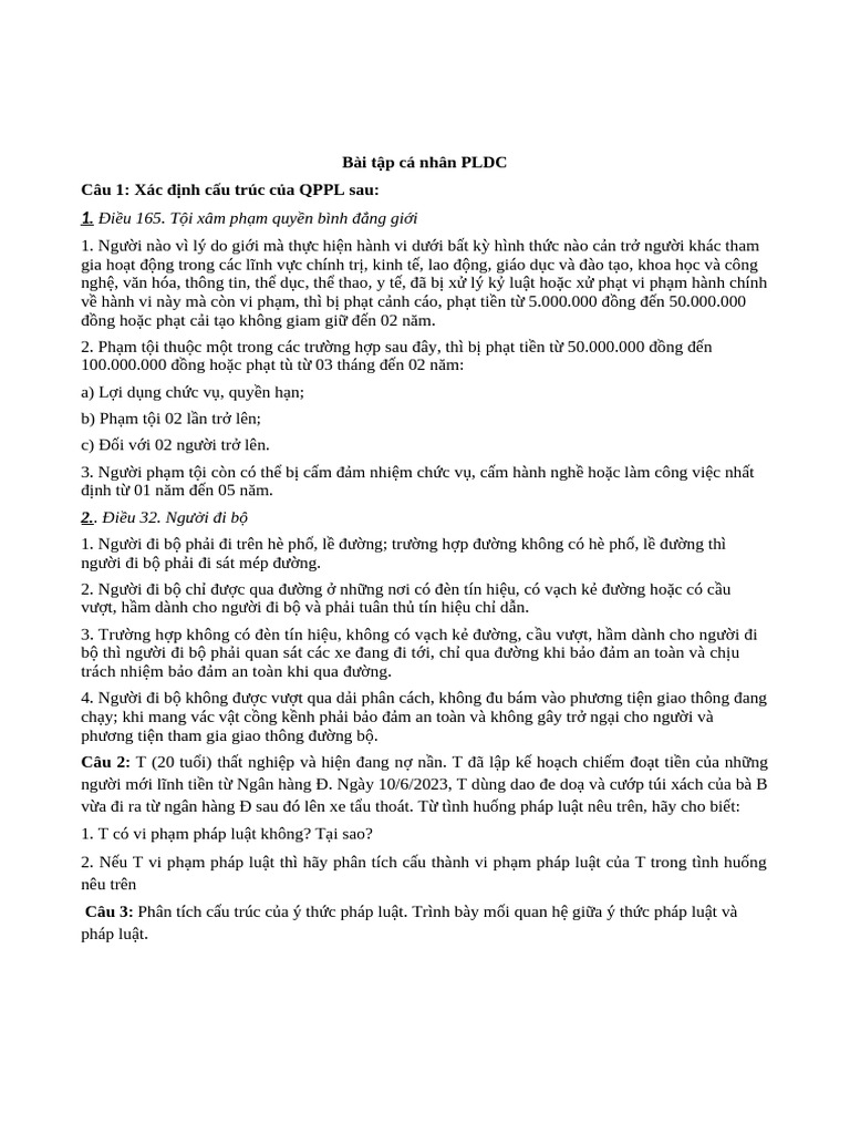 Bài tập cá nhân PLDC DHBK | PDF