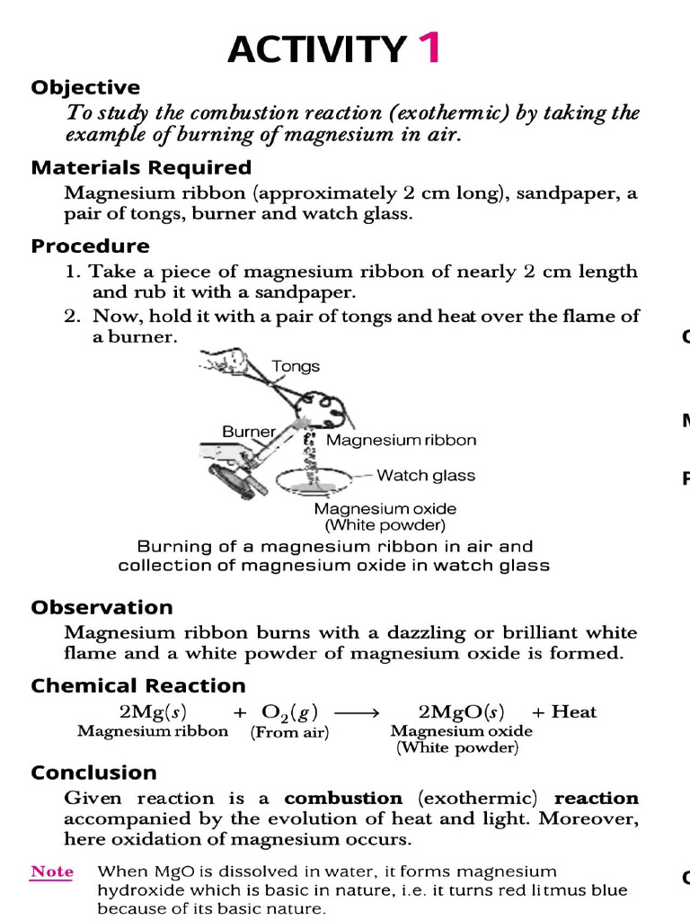 Chemistry Practical Activities | PDF | Magnesium | Physical Chemistry