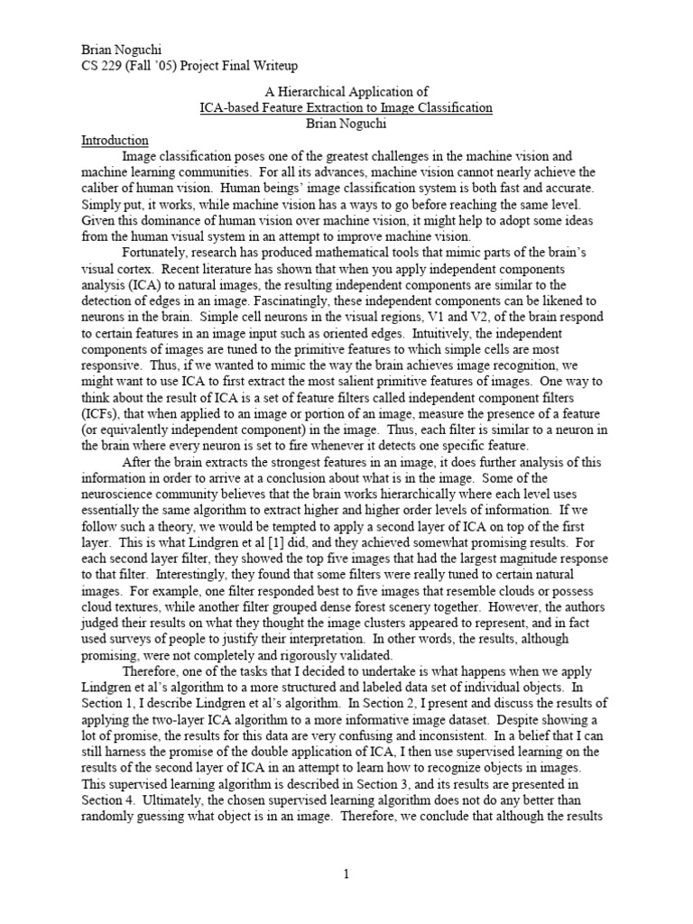 Noguchi HierarchicalAppOfICAtoImageClassification | PDF | Visual System | Visual Cortex