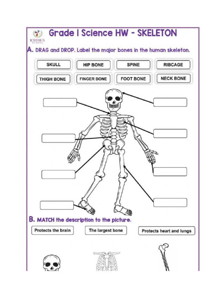 Midterm1 Science Practice | PDF