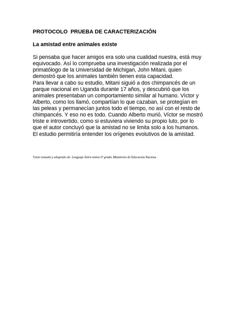 Protocolo Prueba de Caracterización | PDF