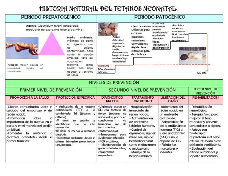 Historia Natural del Tétanos Neonatal | PDF | Especialidades Medicas ...