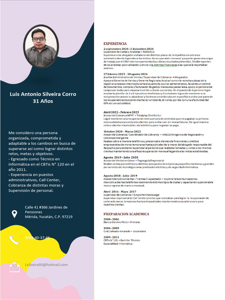 CVLuis Antonio Silveira Corro | PDF