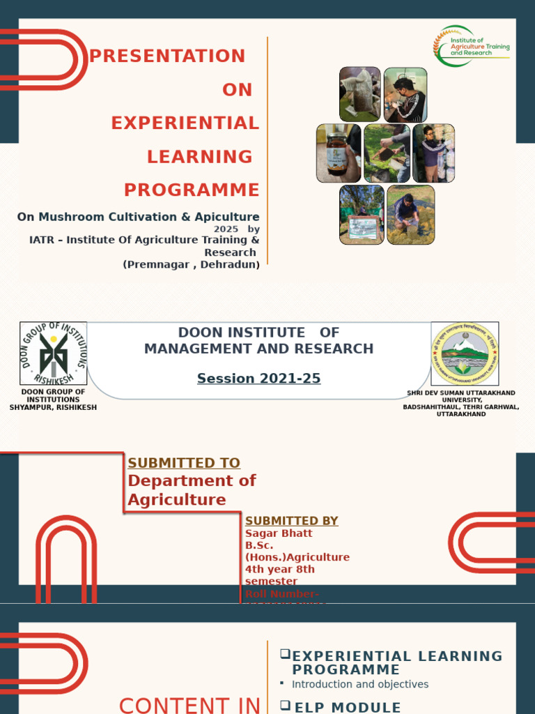 Sagar Modify Elp | PDF | Honey Bee | Beekeeping