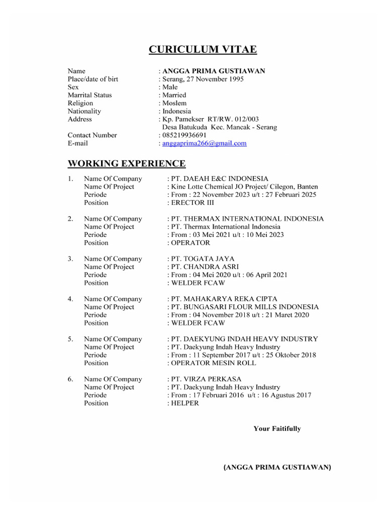 CV ANGGA | PDF