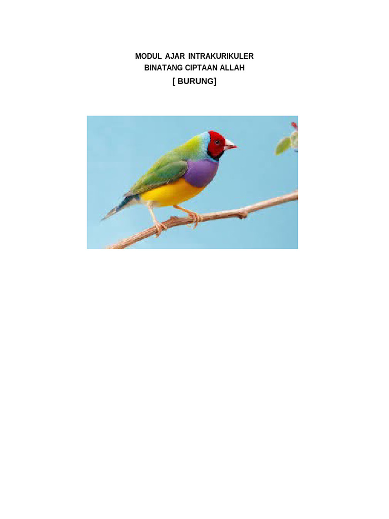 Modul Burung | PDF