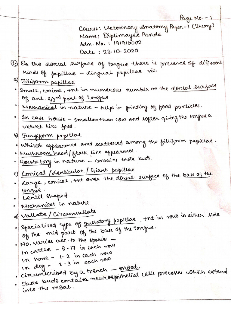 002 Anatomy Paper1 | PDF