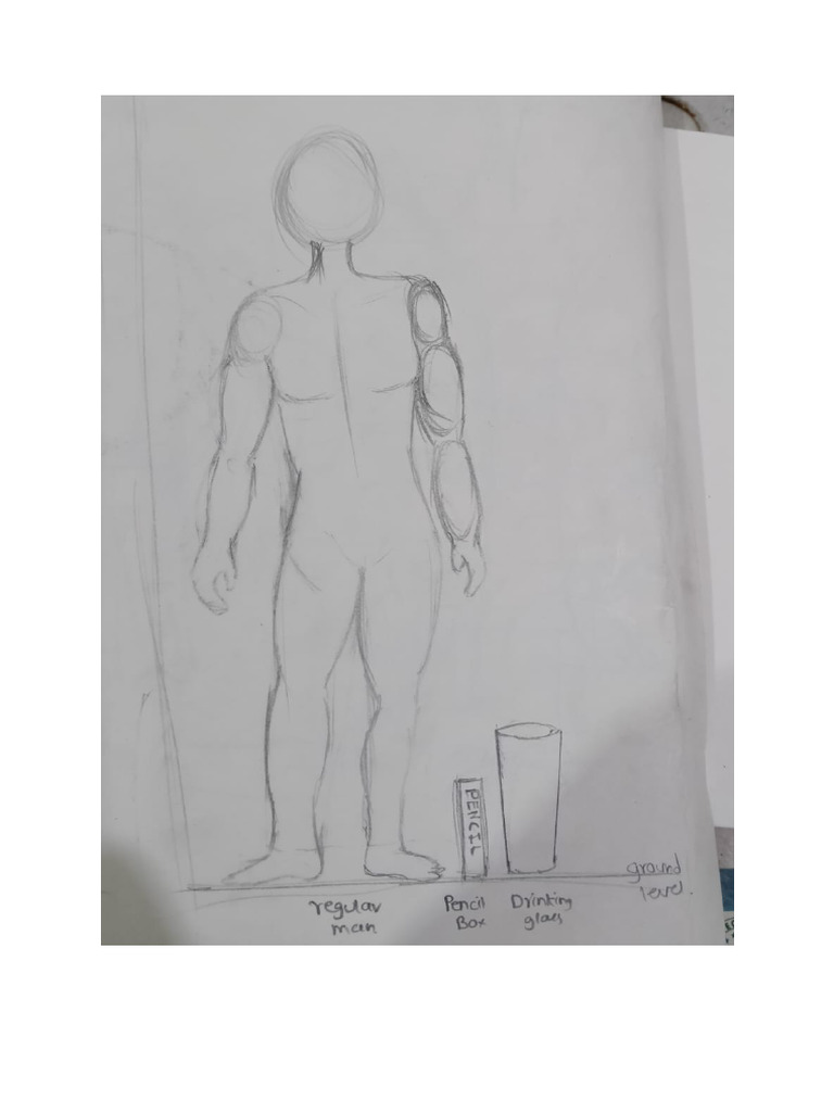 Scale and Proportion | PDF