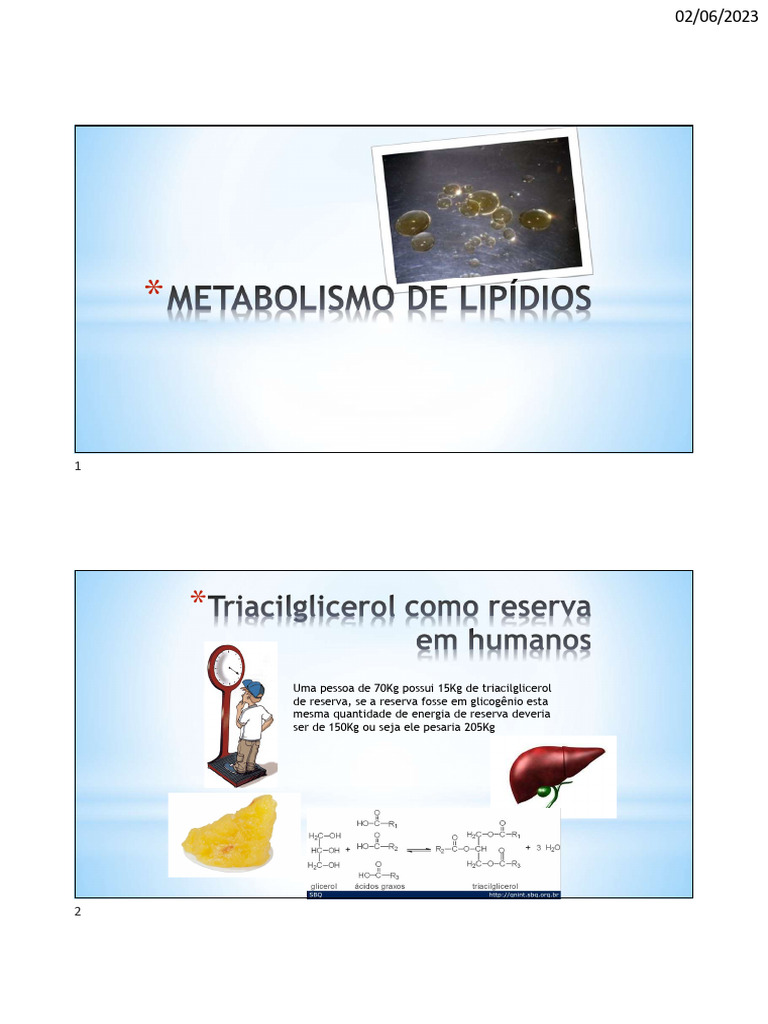 Slides Metabolismos de Lipidios | PDF | Triglicerídeo | Mitocôndria