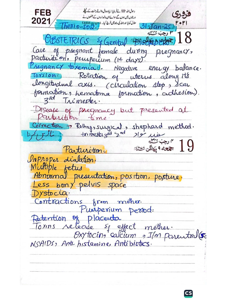 Therio 502 Practical Os Coxae | PDF