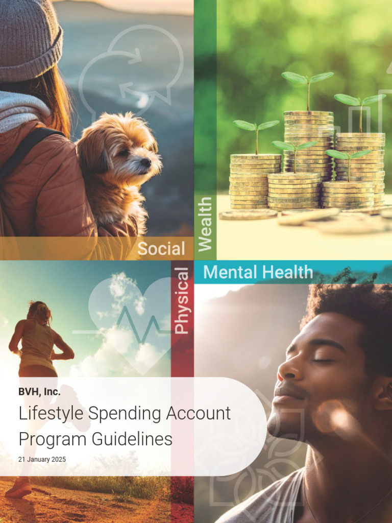 LSA Program Guidelines 2025 FINAL 21 January 2025 | PDF | Payroll ...