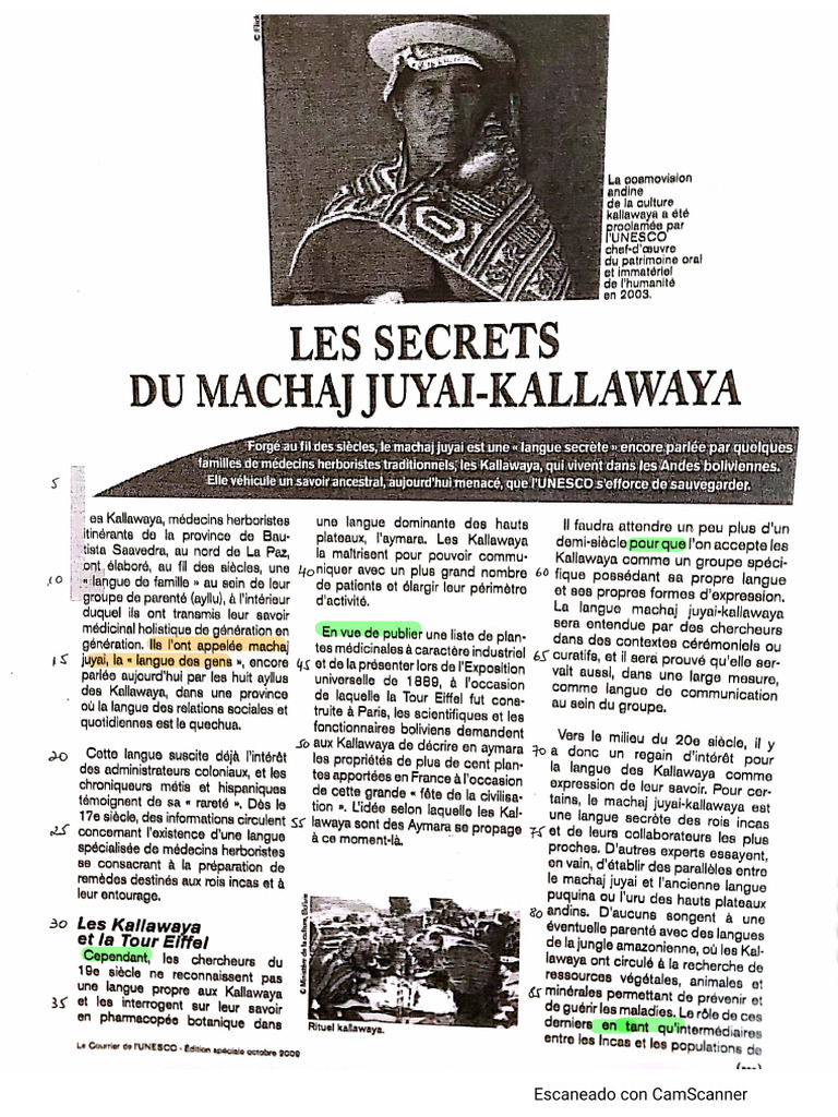 Les Secrets Du Machaj Juyai-Kallawaya | PDF