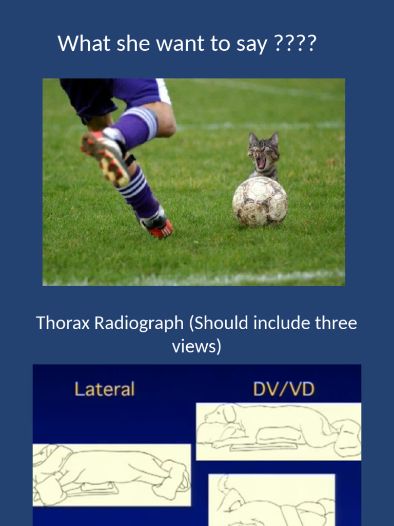 Understanding VD and DV Thorax Views | PDF | Heart | Thorax