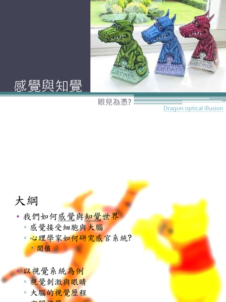 M04_感覺與知覺 | PDF